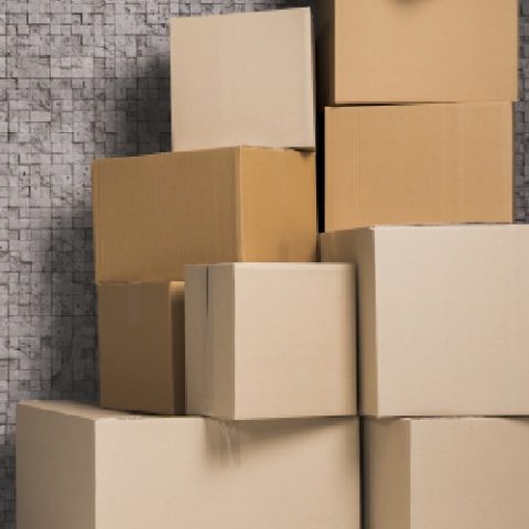 Direct Express Inc - Global Shipping, Simplified